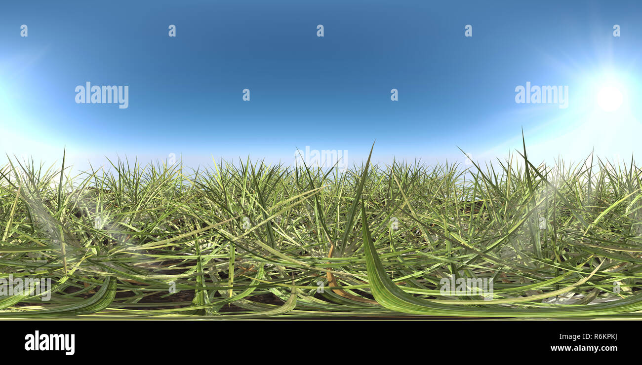 green grass and sky HDRI map Stock Photo - Alamy