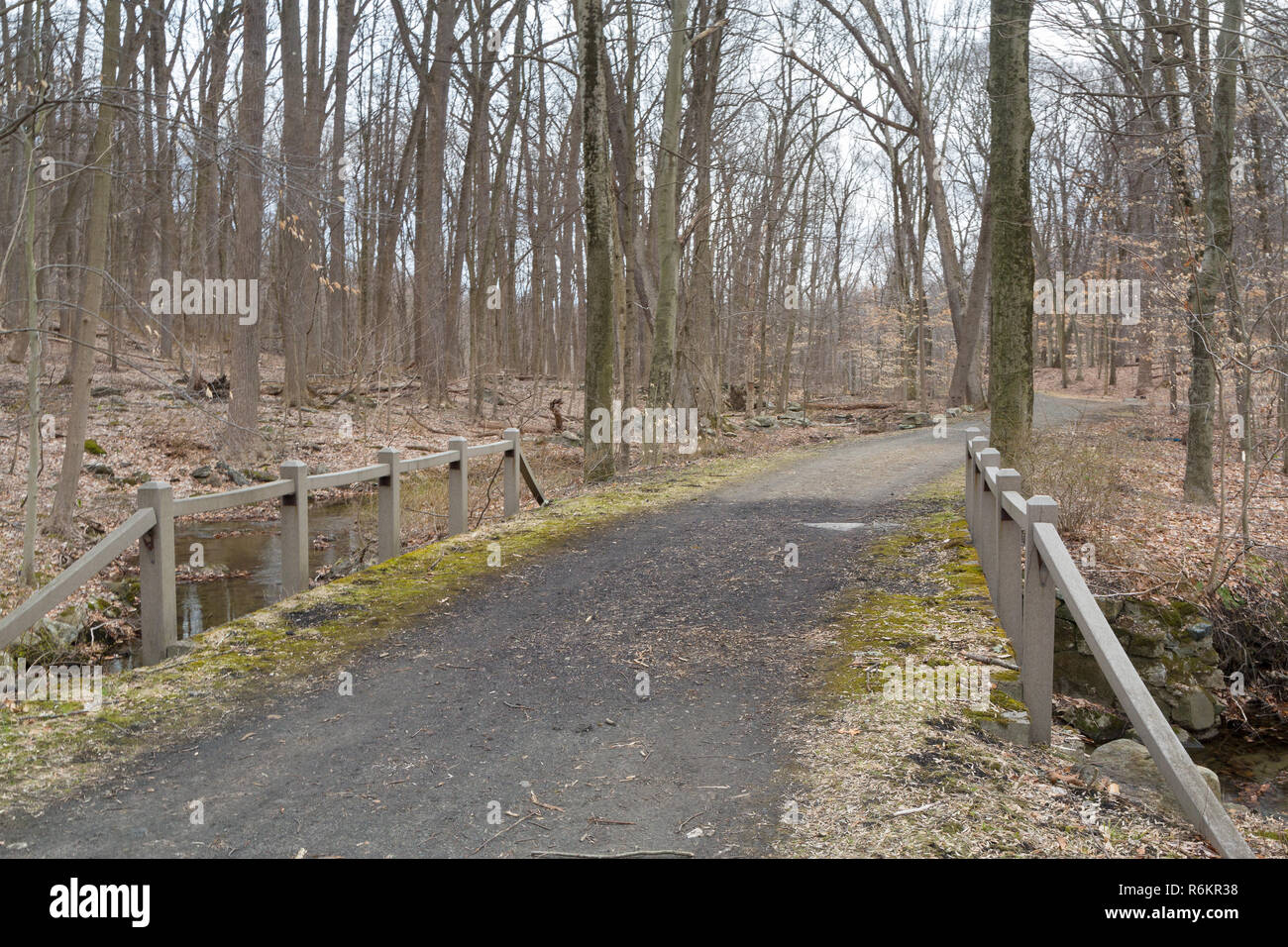 Rockefeller state park preserve hi-res stock photography and images - Alamy