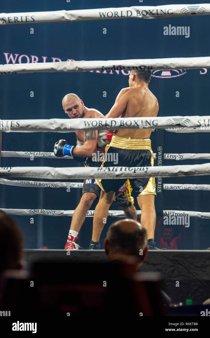 Russian boxer hi-res stock photography and images - Alamy