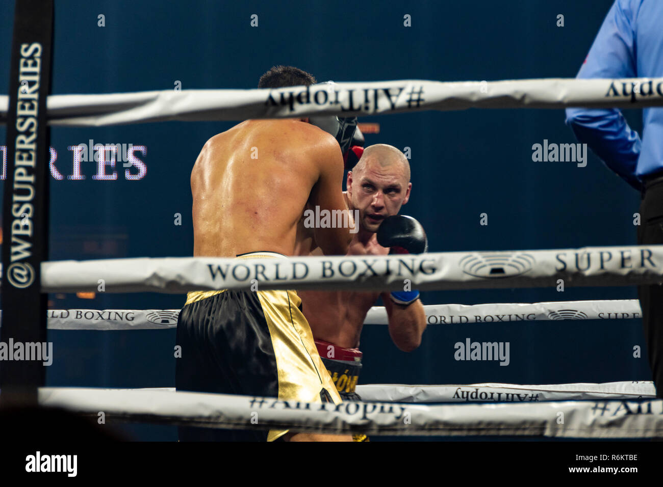 Russian boxer hi-res stock photography and images - Alamy