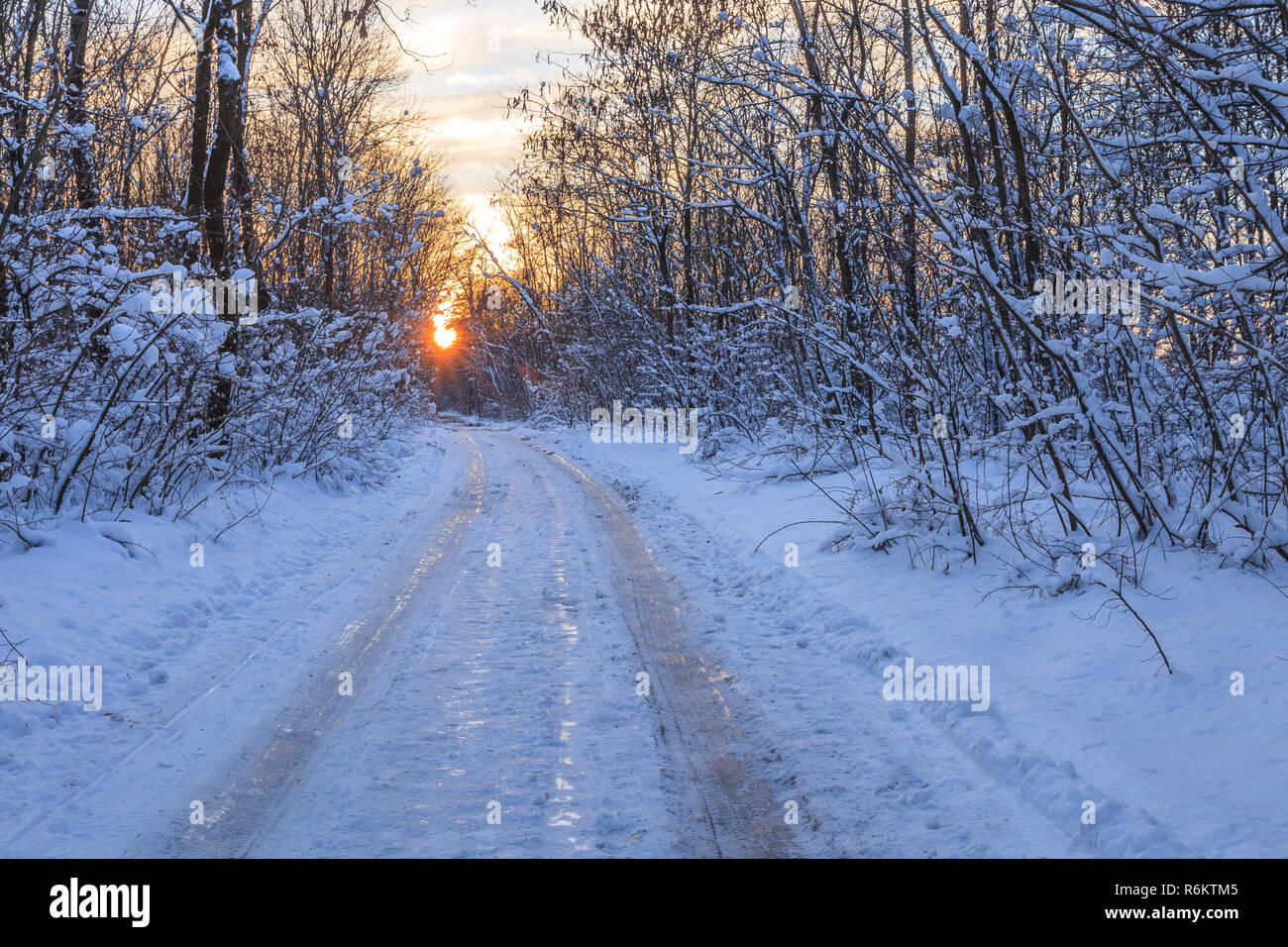 rustic road in winter Stock Photo - Alamy
