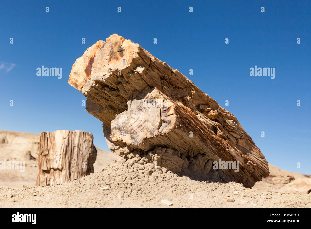 Petrified log under blue sky Stock Photo - Alamy
