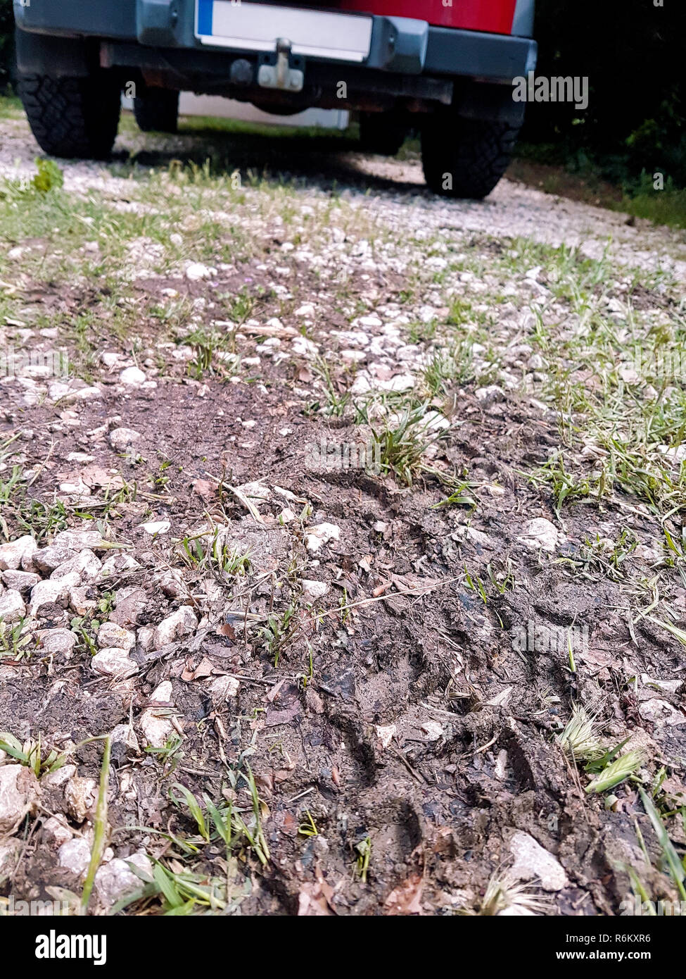Automotive tire tracks on muddy trail, car in background. Mud and wheel ...