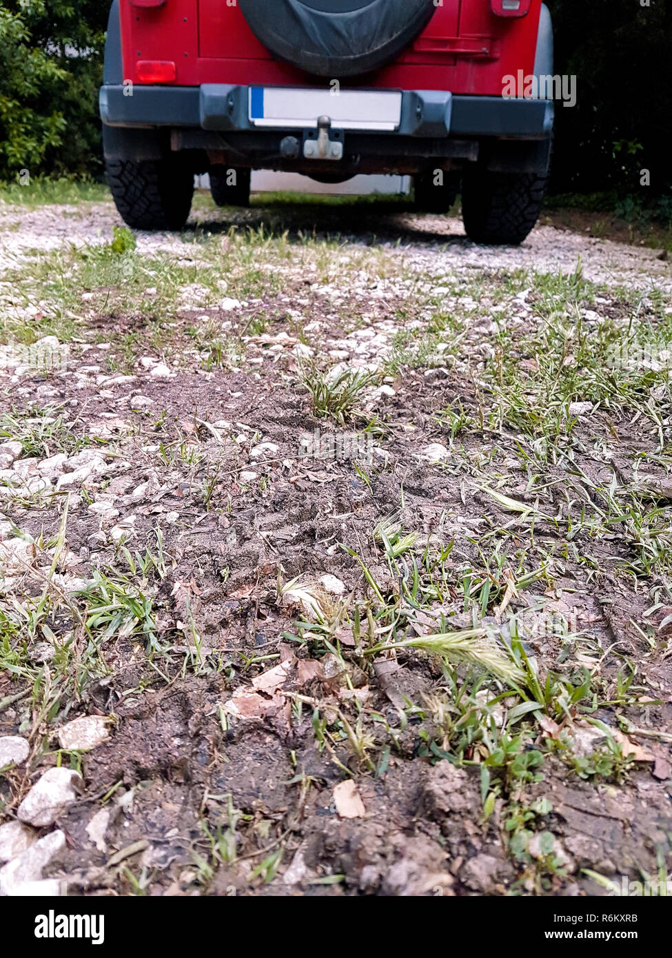 Automotive tire tracks on muddy trail, car in background. Mud and wheel ...