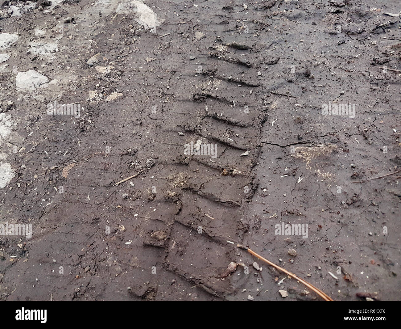 Bike, tractor, excavator, car, automotive tire tracks on muddy trail ...