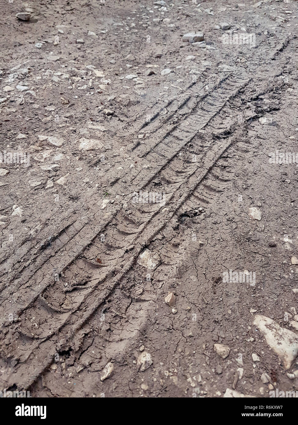 Bike, tractor, excavator, car, automotive tire tracks on muddy trail ...