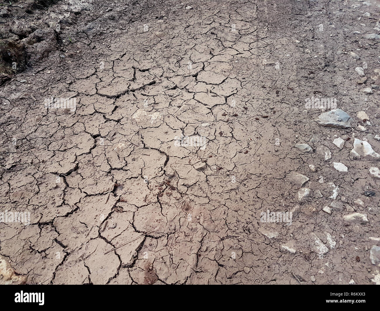Cracked ground, path, dry soil. Ecology concept. Cracked earth texture ...