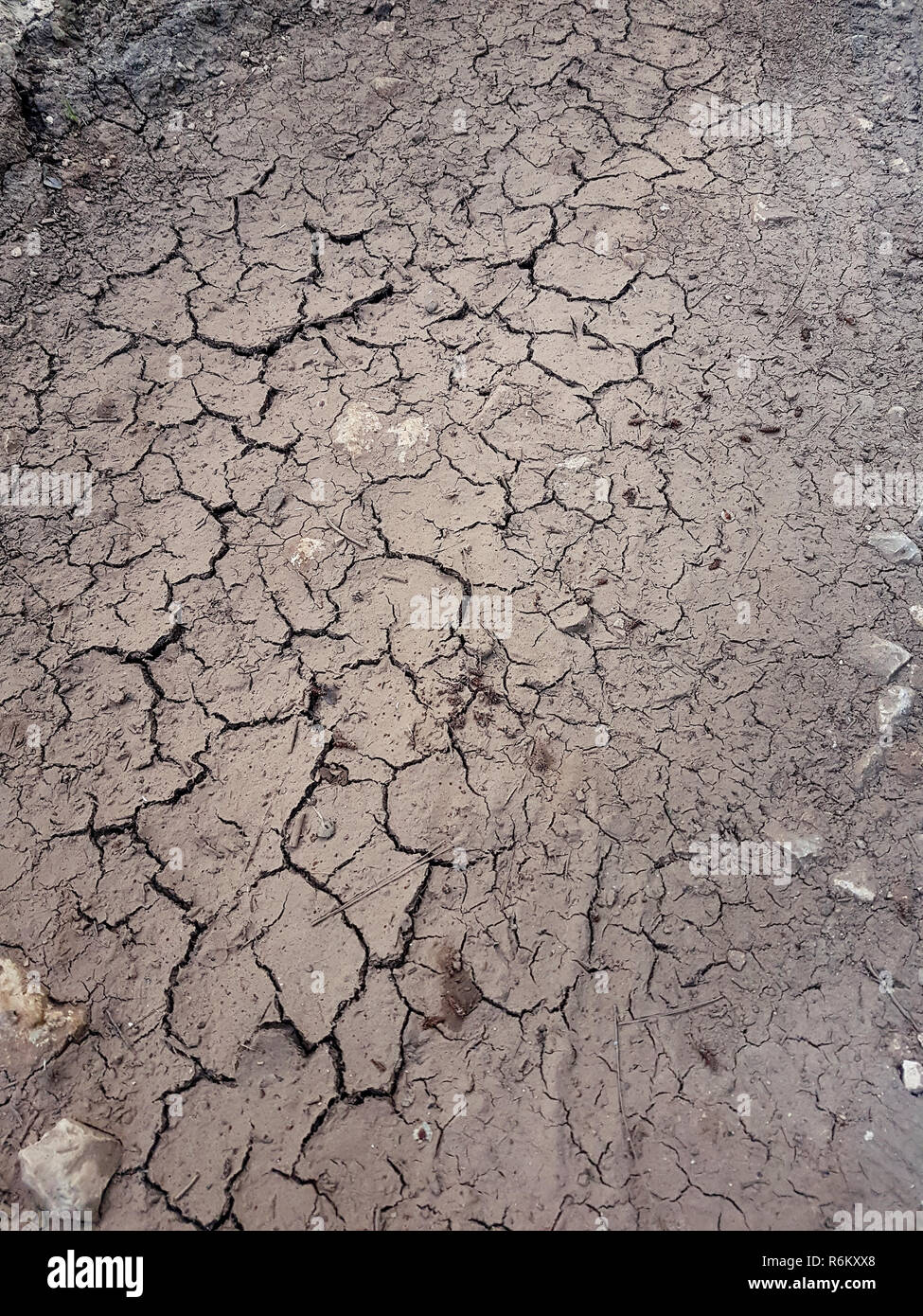 Cracked ground, path, dry soil. Ecology concept. Cracked earth texture ...