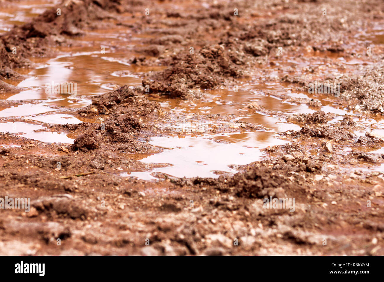 Muddy Puddle Road After Rain High Resolution Stock Photography and ...