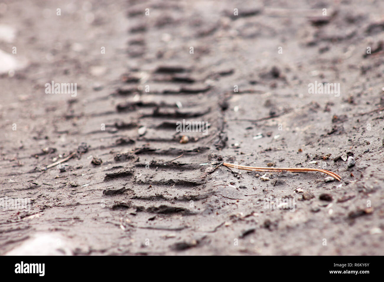 Bike, tractor, excavator, car, automotive tire tracks on muddy trail ...