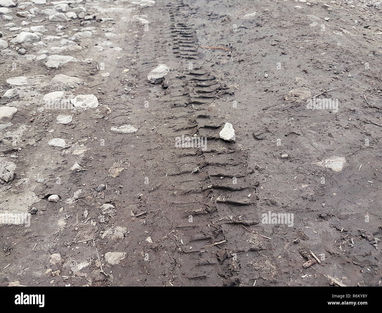 Bike, tractor, excavator, car, automotive tire tracks on muddy trail ...