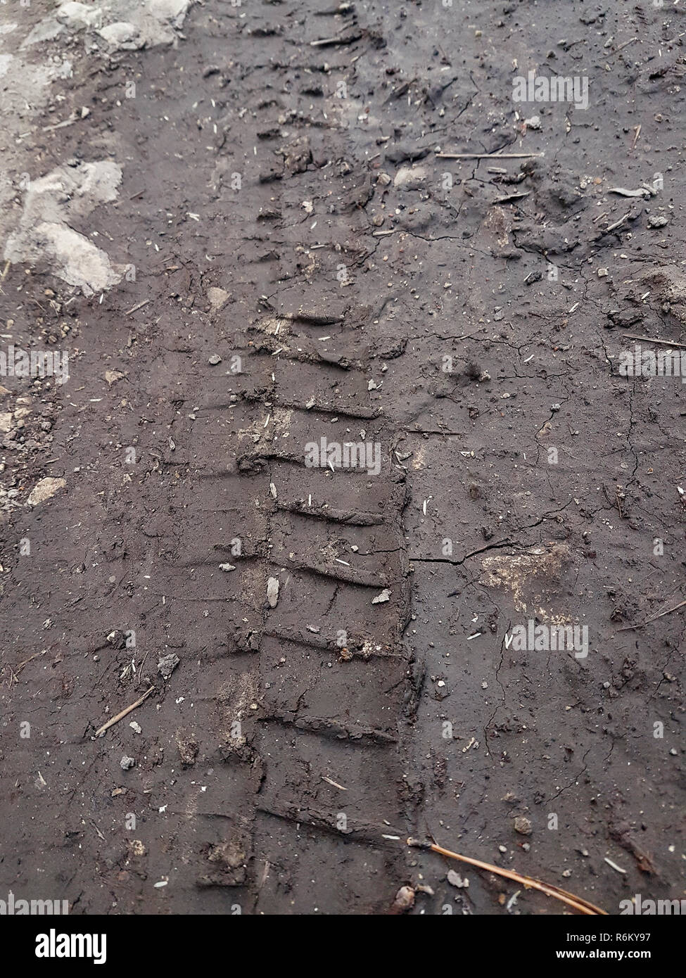 Bike, tractor, excavator, car, automotive tire tracks on muddy trail ...