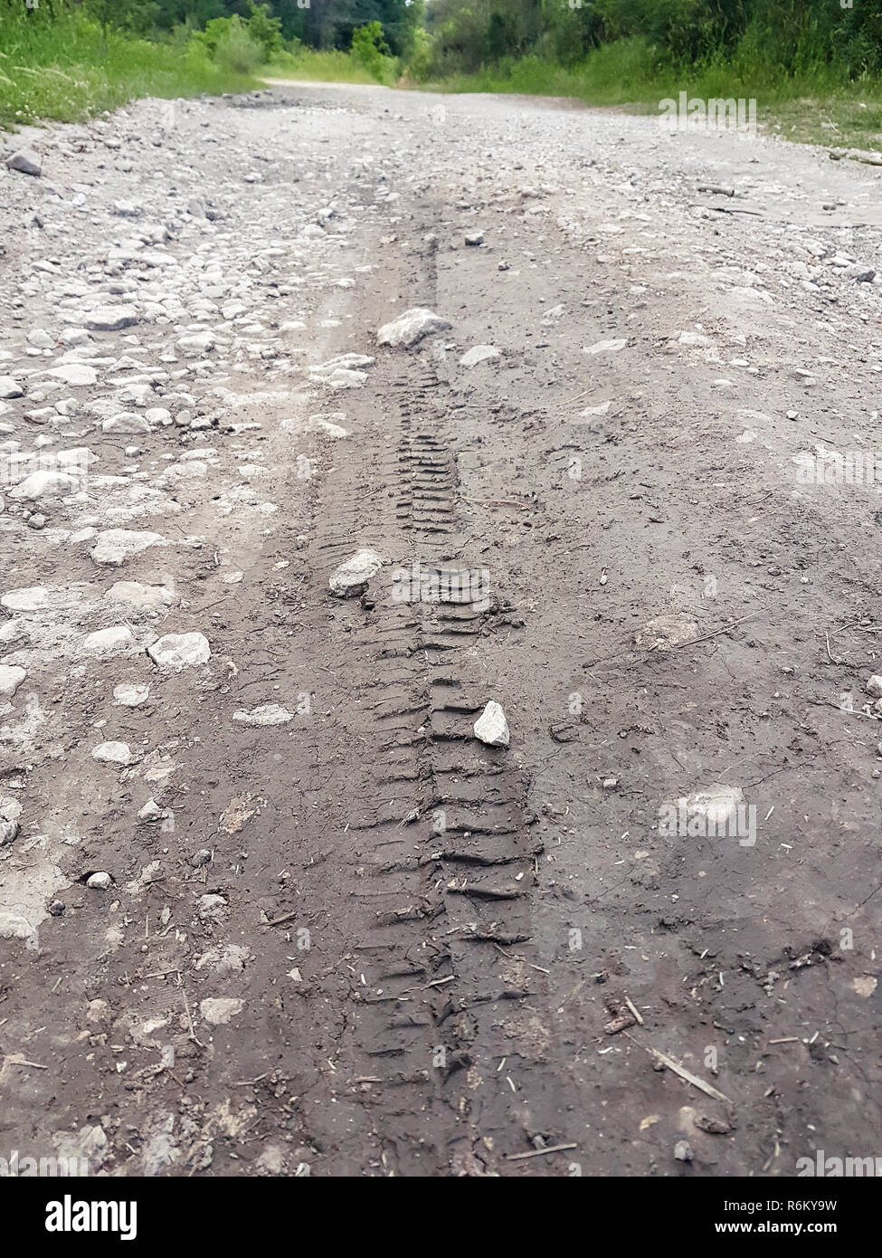 Bike, tractor, excavator, car, automotive tire tracks on muddy trail ...