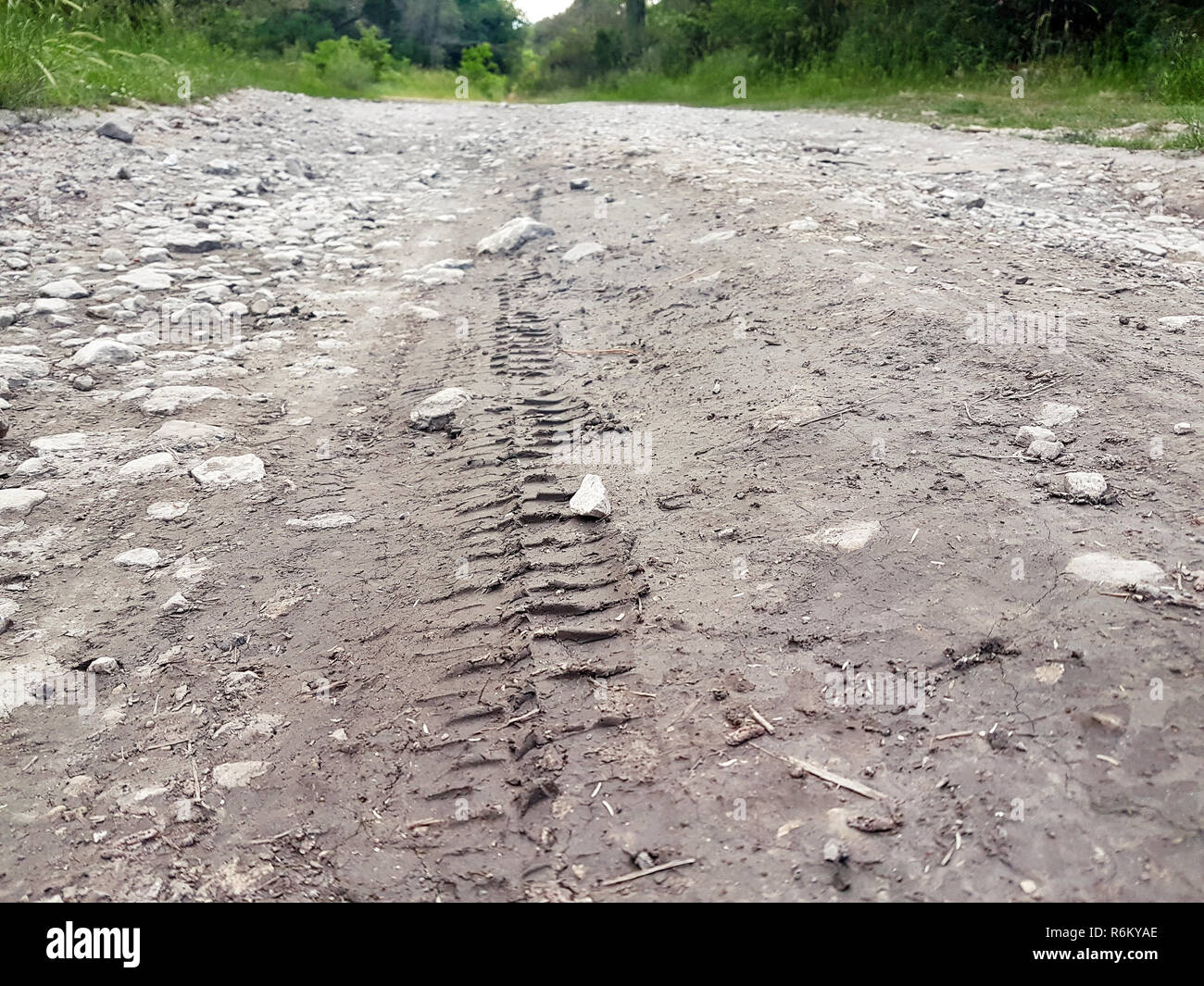 Bike, tractor, excavator, car, automotive tire tracks on muddy trail ...