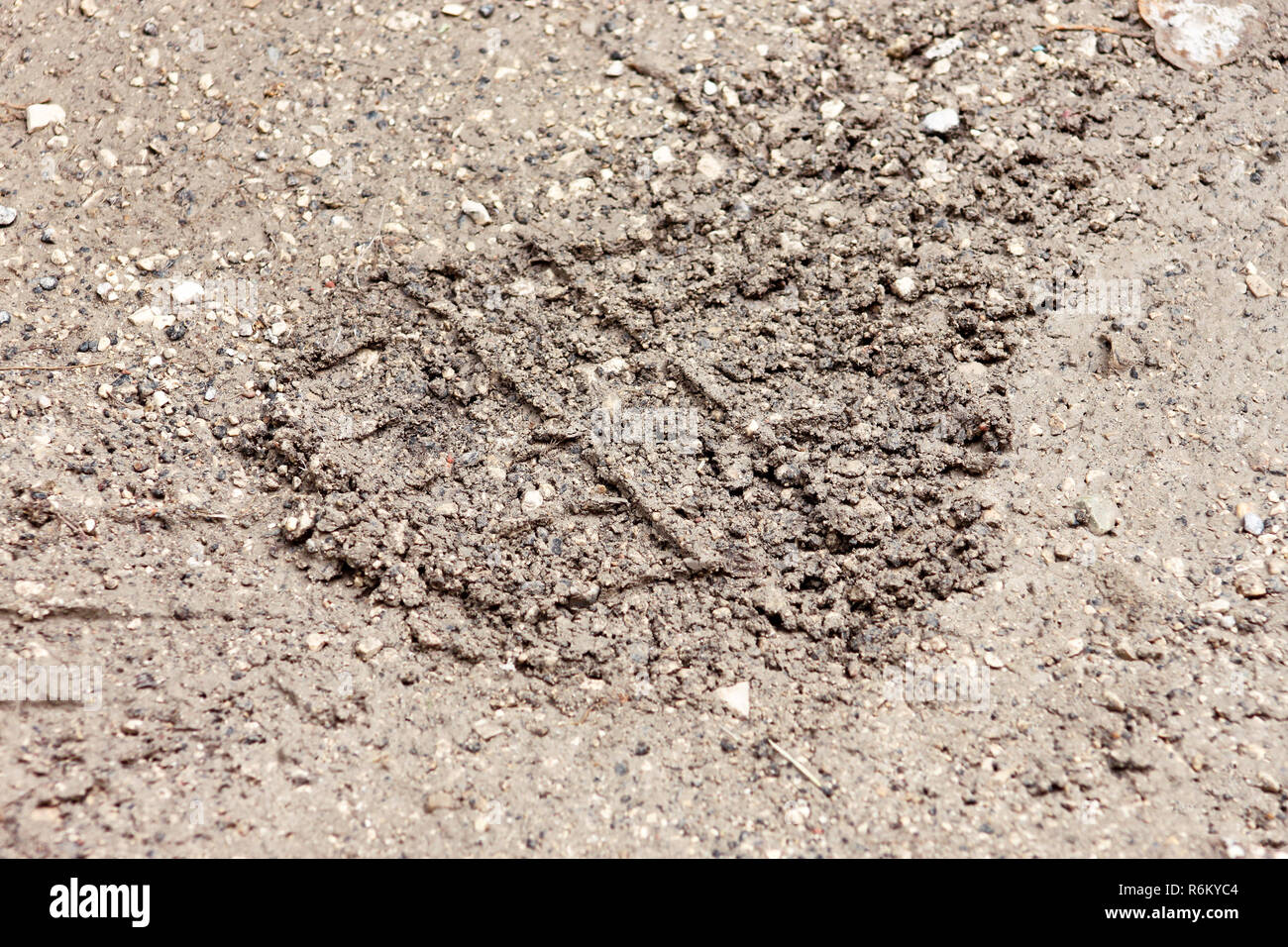Bike, tractor, excavator, car, automotive tire tracks on muddy trail ...