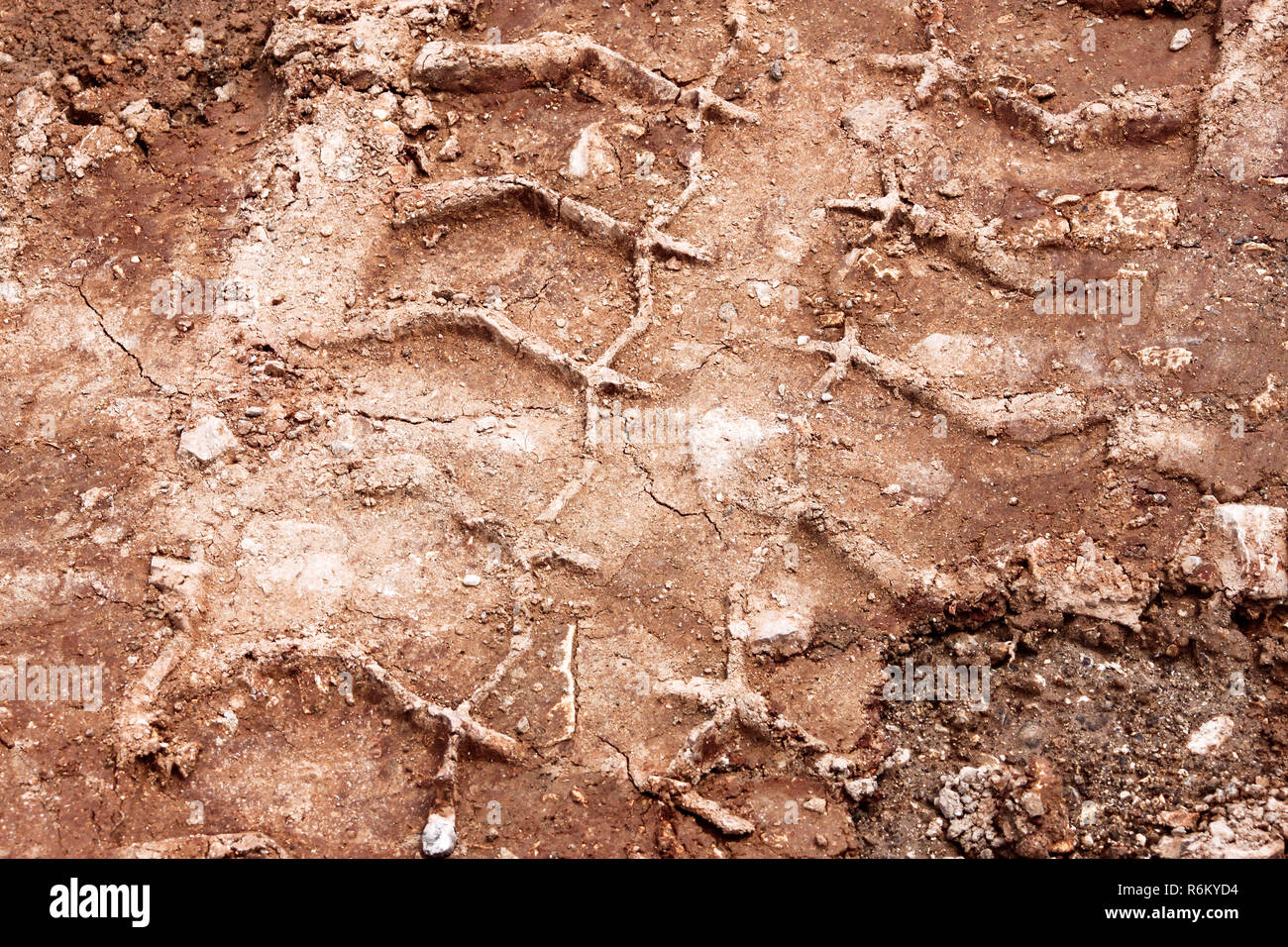 Excavator tracks in clay ground hi-res stock photography and images - Alamy