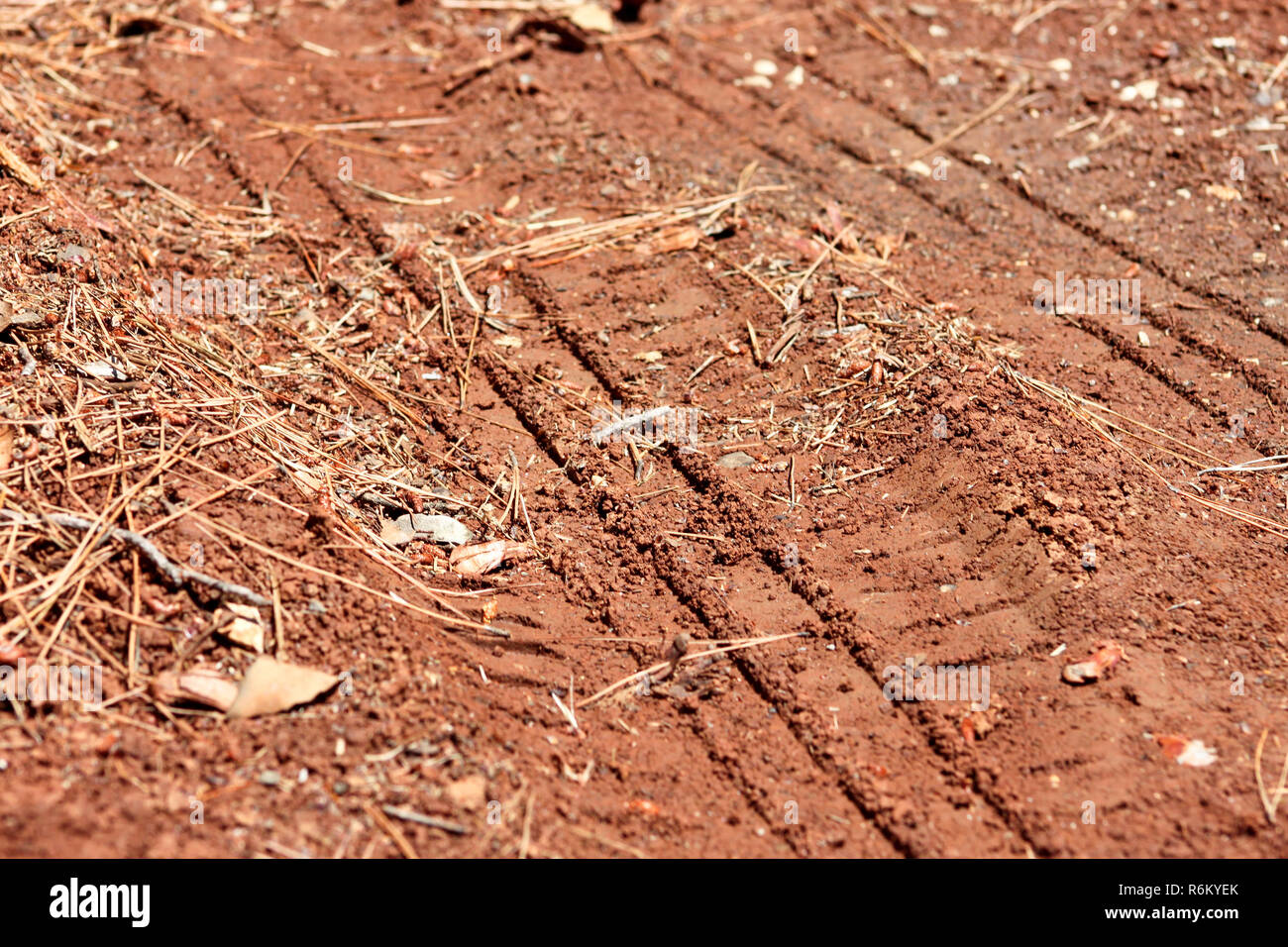 Tractor, excavator, car, automotive tire tracks on muddy trail. Mud and ...