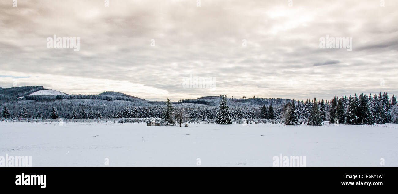 Snowy landscape field with a treeline Stock Photo - Alamy
