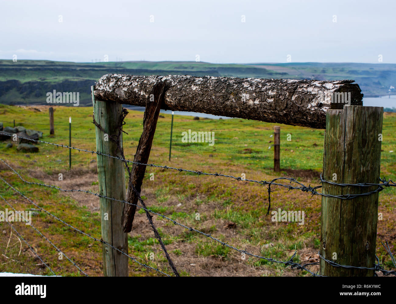 Old wood tree branch gate on a farm Stock Photo - Alamy