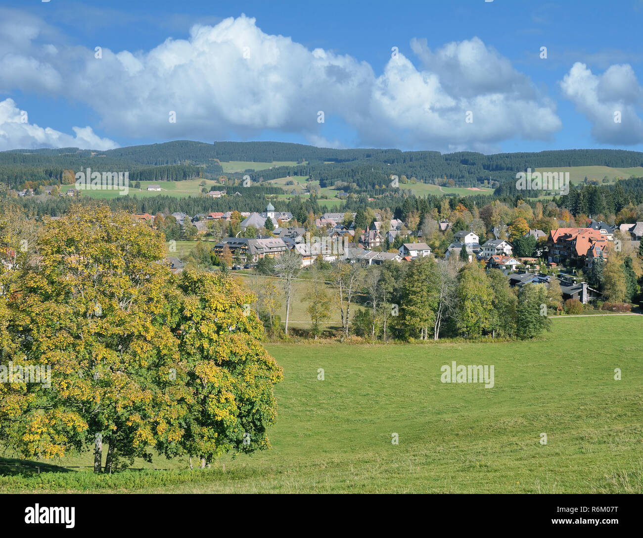 Hinterzarten Schwarzwald High Resolution Stock Photography and Images ...