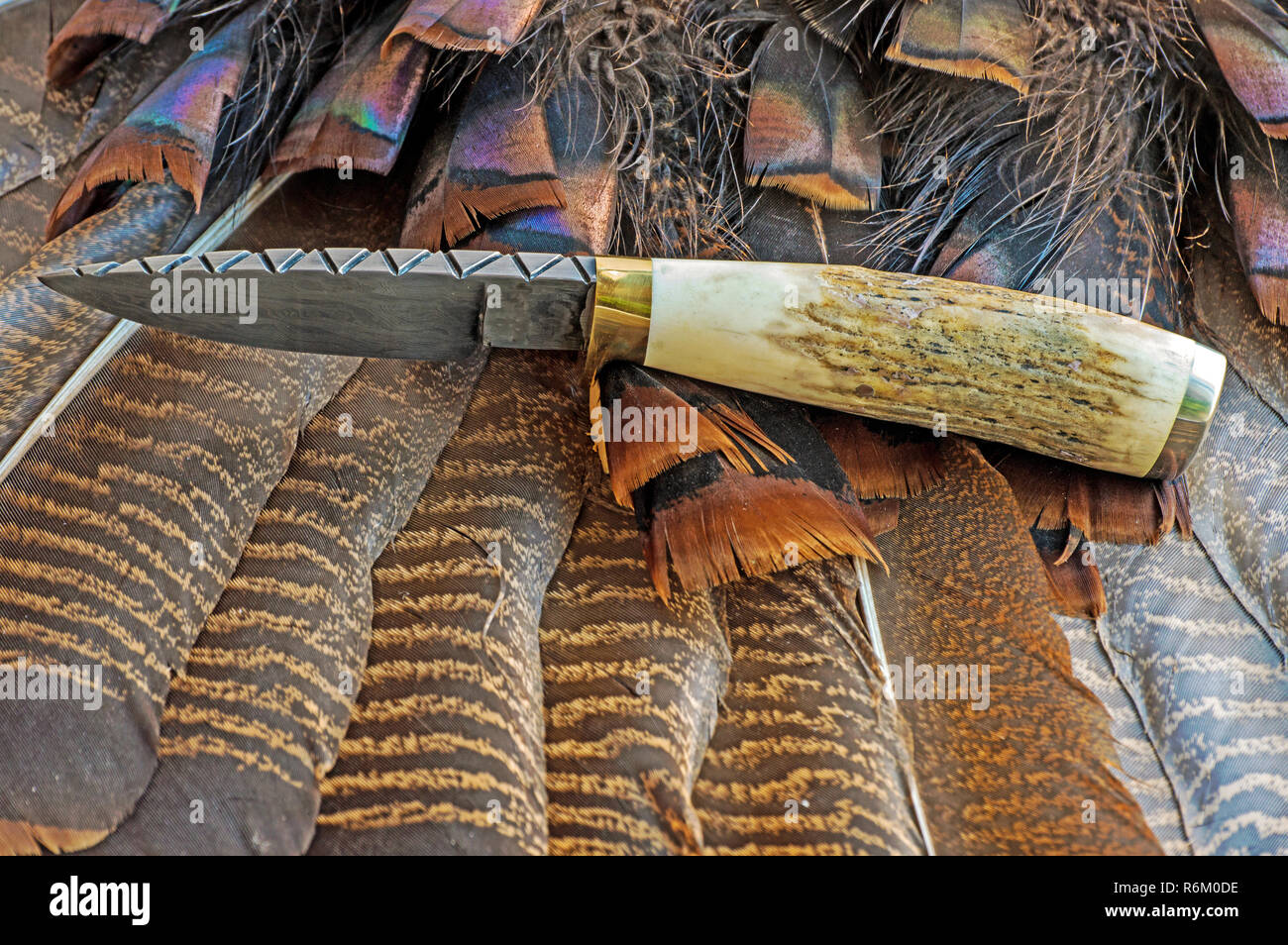 The zigzag pattern on the spine of a fixed blade knife displayed along ...