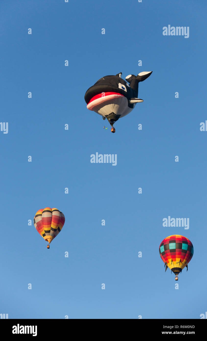 Hot Air Balloons with Special Shape Balloon "Happy Orca", 2015 Balloon ...