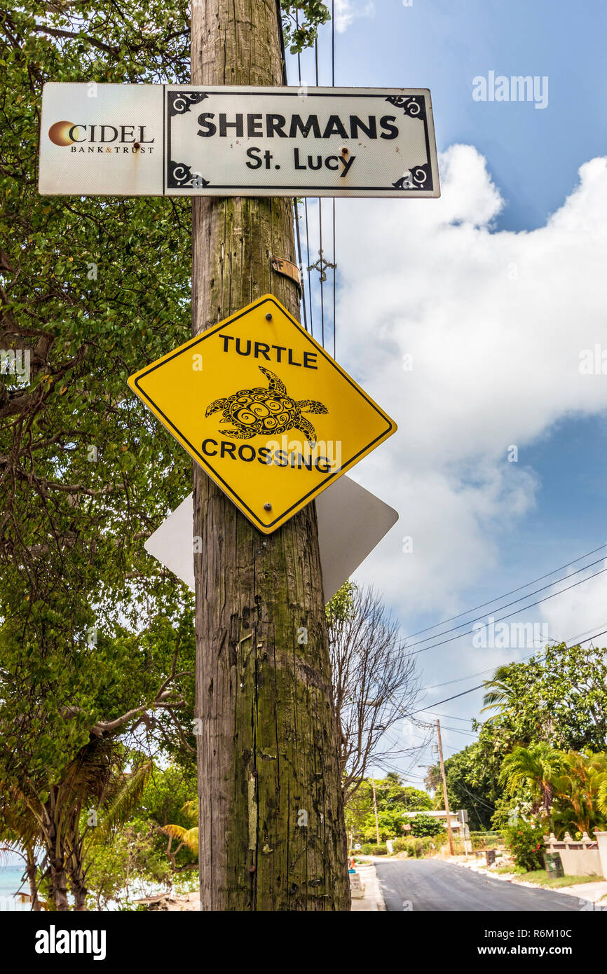 Turtle nesting warning sign hi-res stock photography and images - Alamy