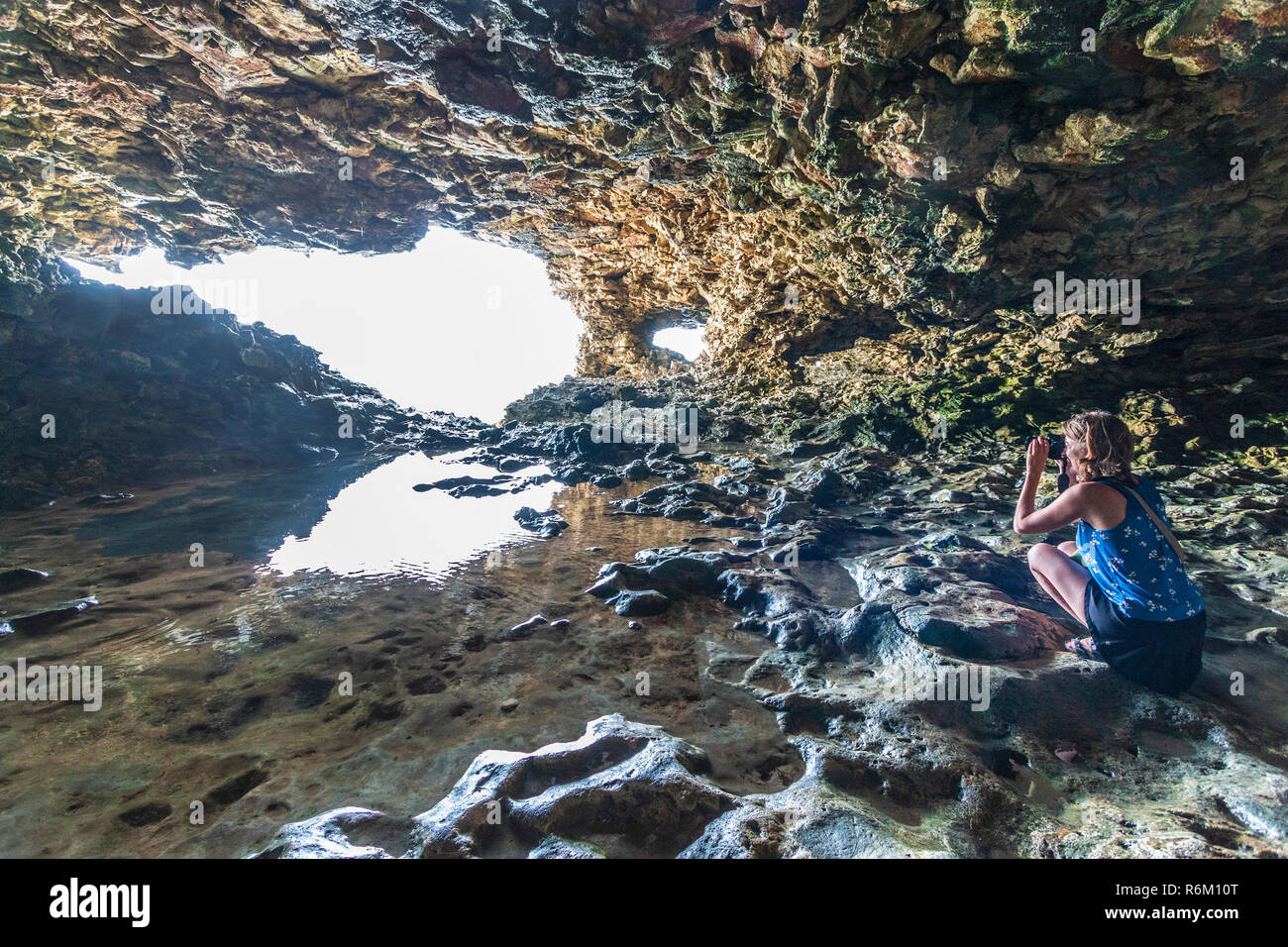Animal Flower Cave In Barbados at Jennifer Lyman blog