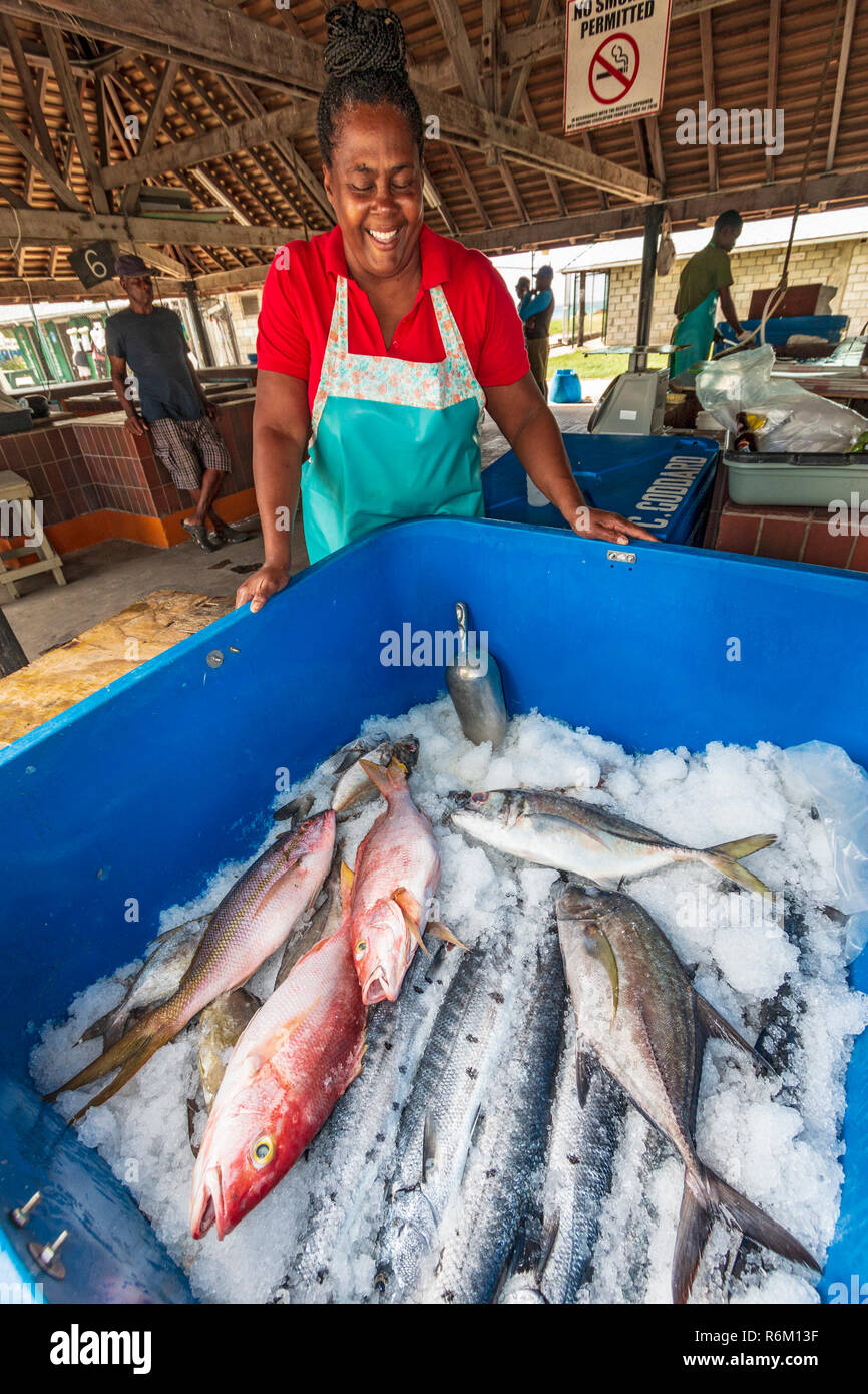 Fresh barracuda fish market hi-res stock photography and images - Alamy