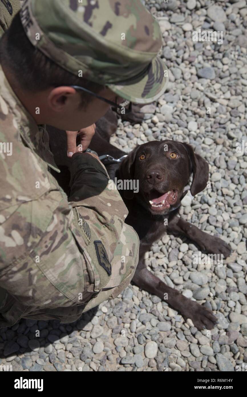 94th engineer battalion hi-res stock photography and images - Alamy