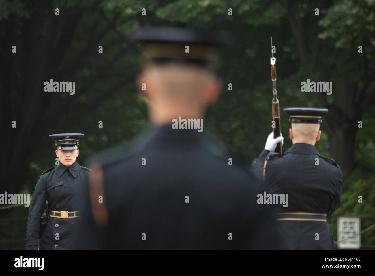 149th infantry regiment hi-res stock photography and images - Alamy