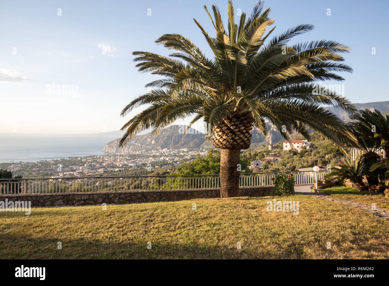 Palm tree with the Gulf of Naples and Vesuvius in the background Stock ...