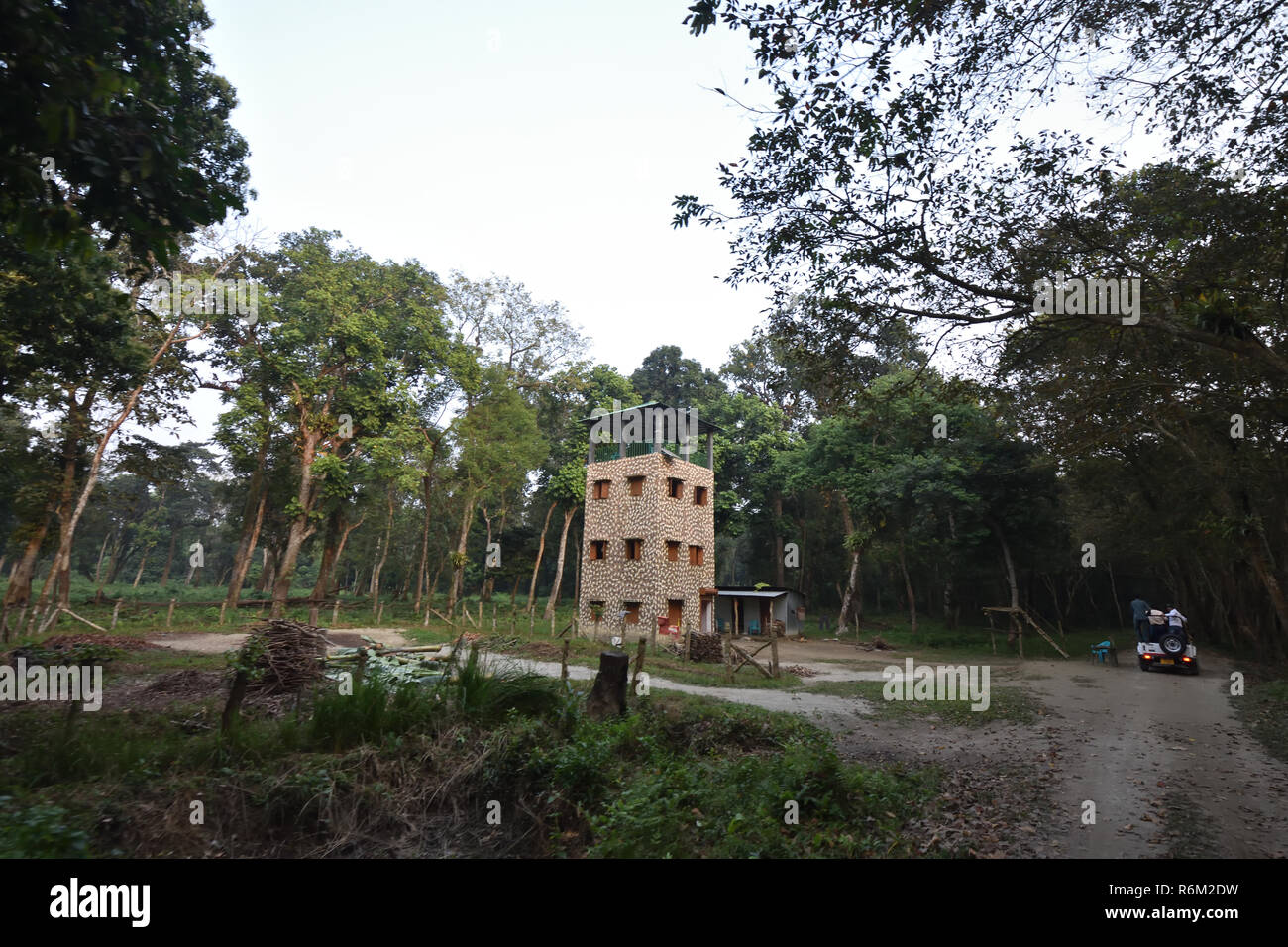 Main watchtower at the Chilapata forest of Jaldapara National Park in ...