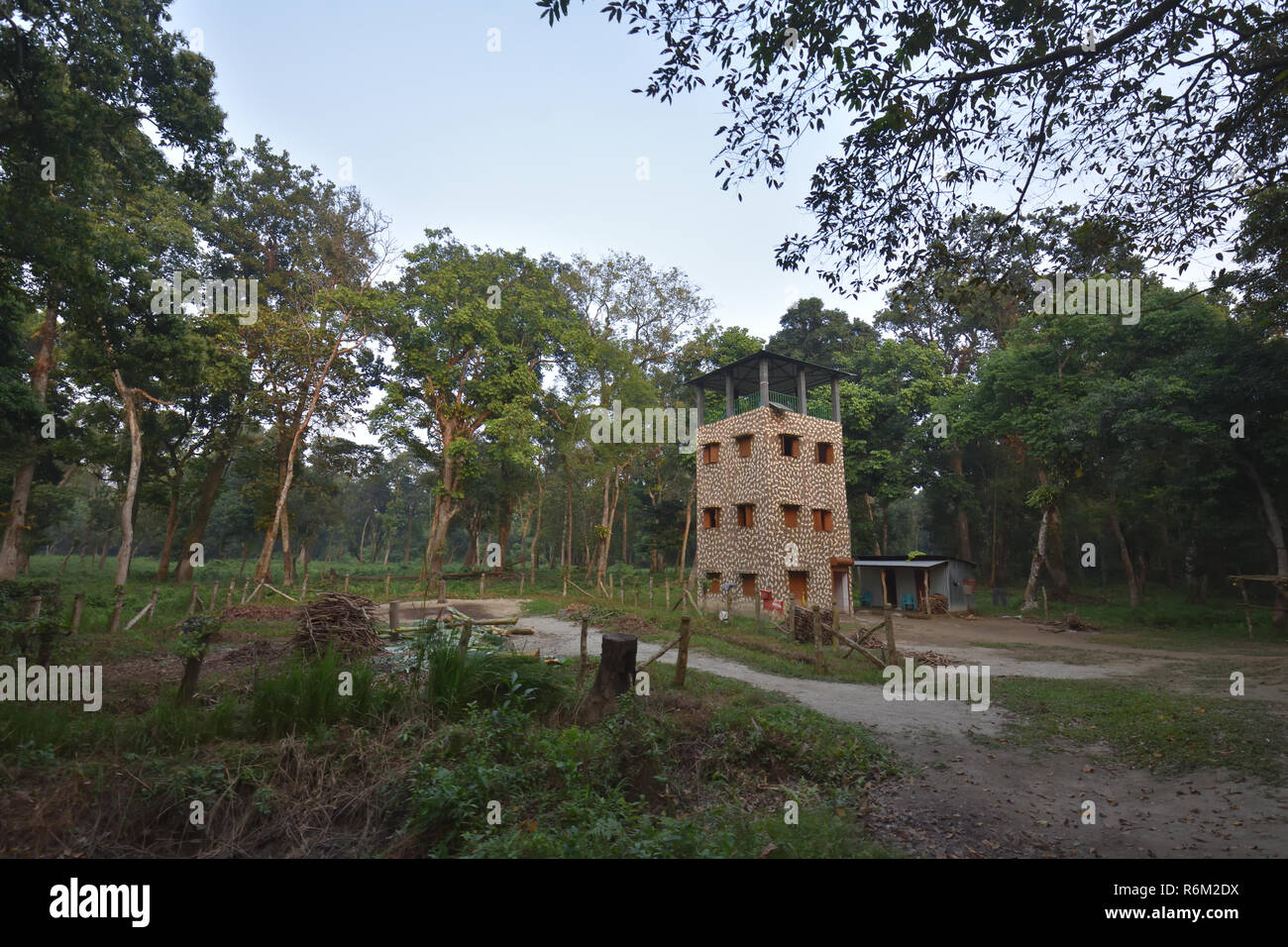 Main watchtower at the Chilapata forest of Jaldapara National Park in ...