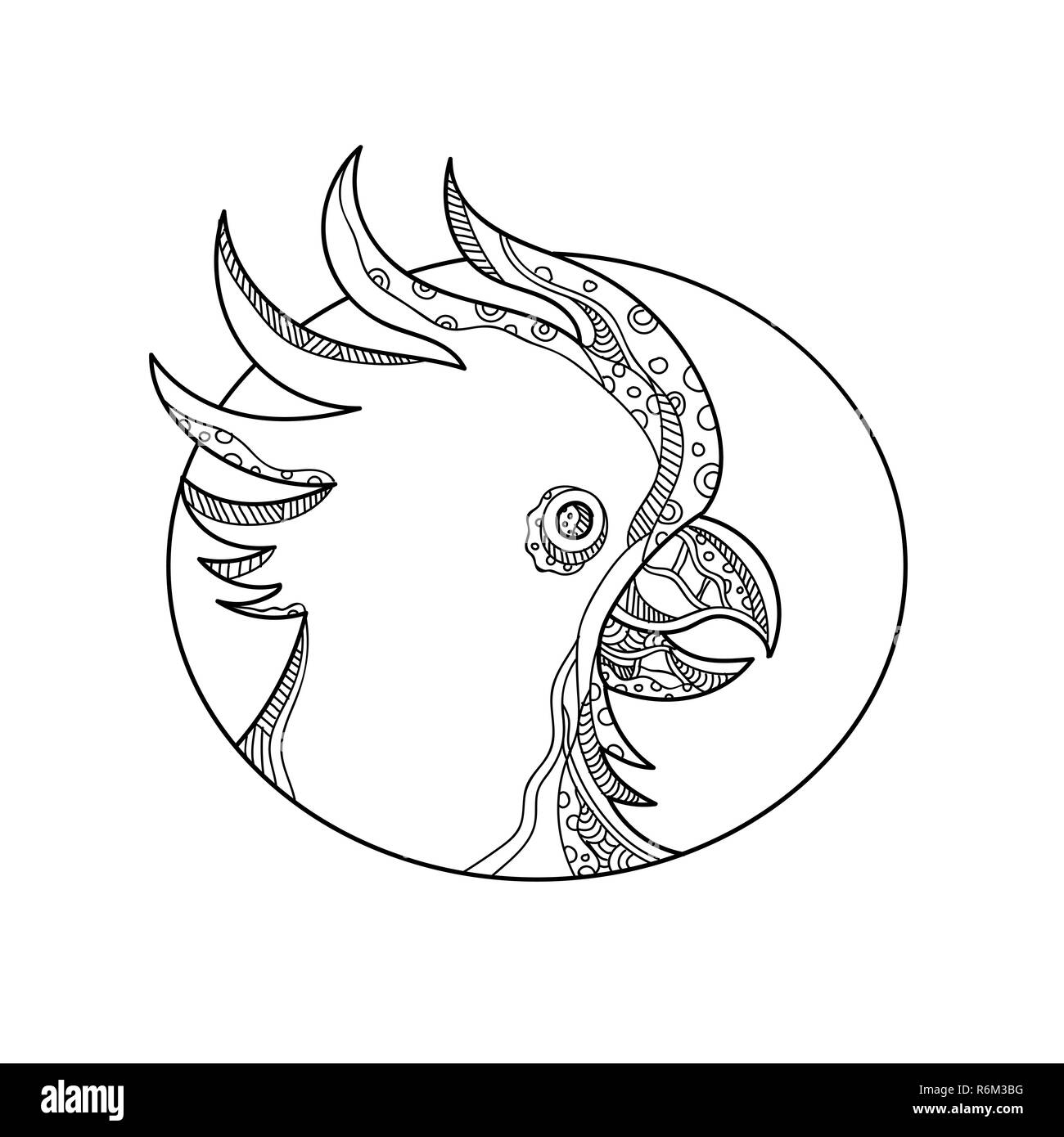 Cockatoo parrot head Cut Out Stock Images & Pictures - Alamy