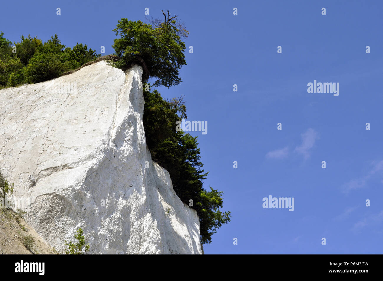 tree on the high bank of the chalk coast of rÃ¼gen Stock Photo - Alamy
