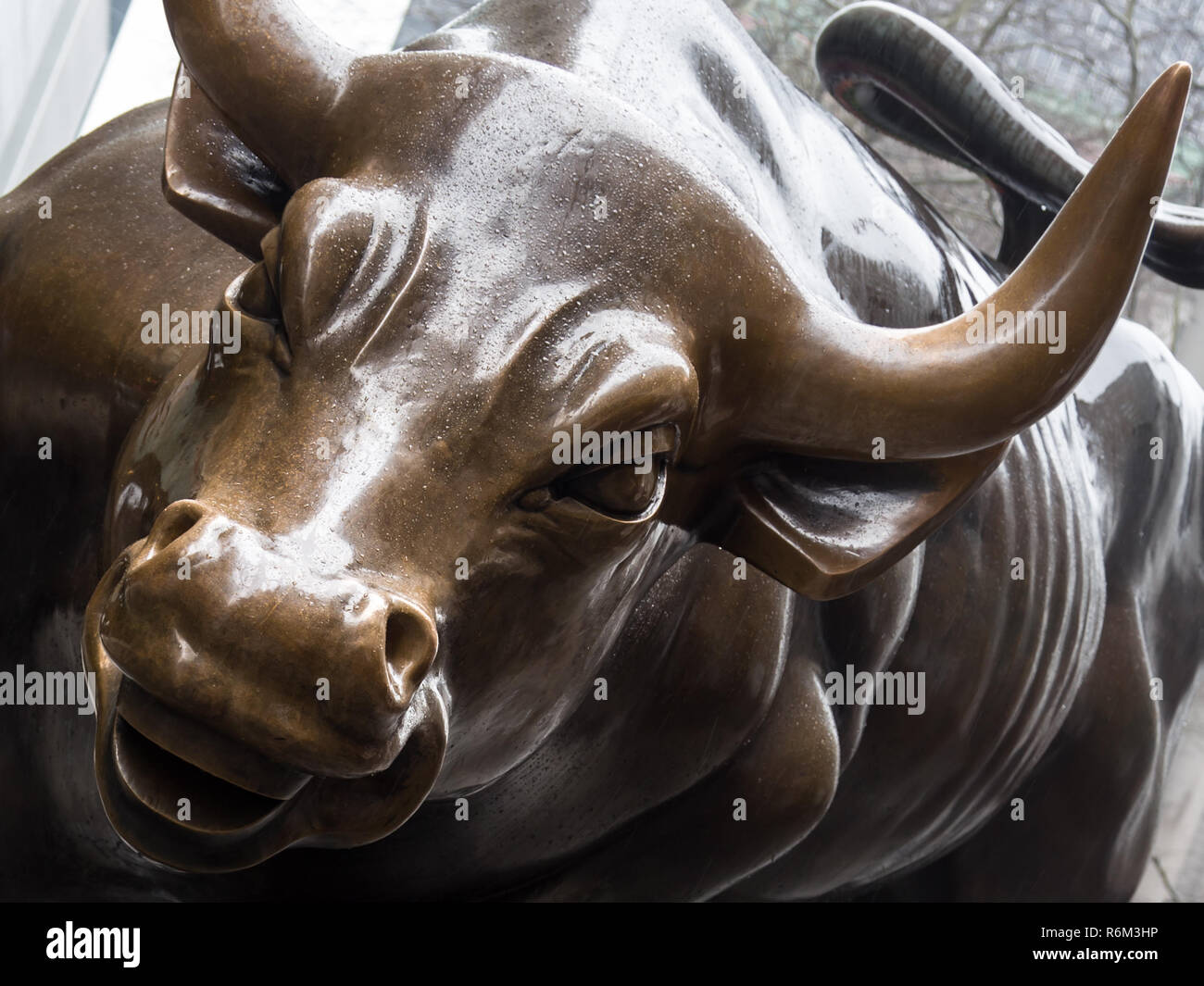 Charging Bull in Lower Manhattan, NY Stock Photo - Alamy