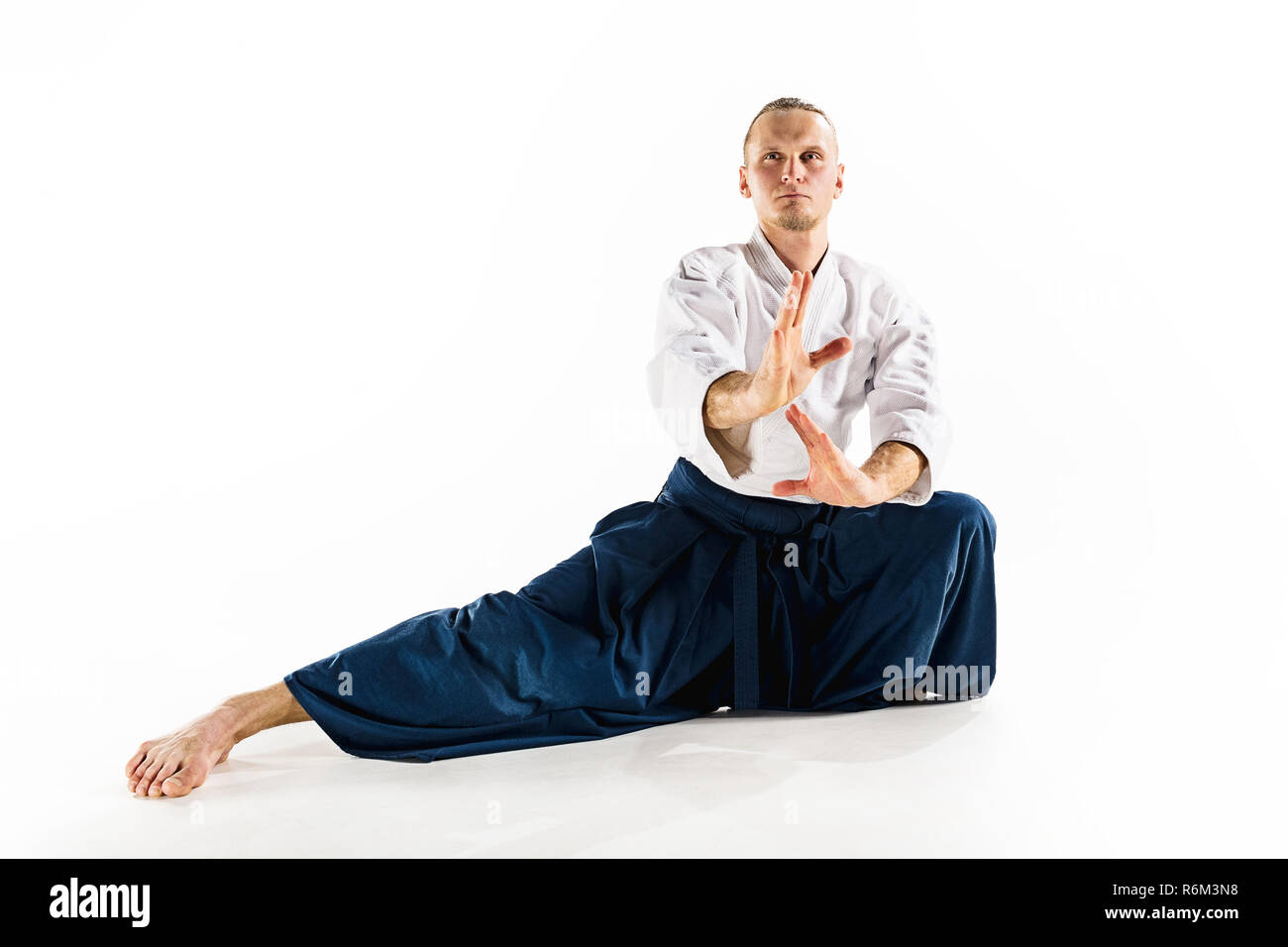 Aikido master practices defense posture. Healthy lifestyle and sports ...