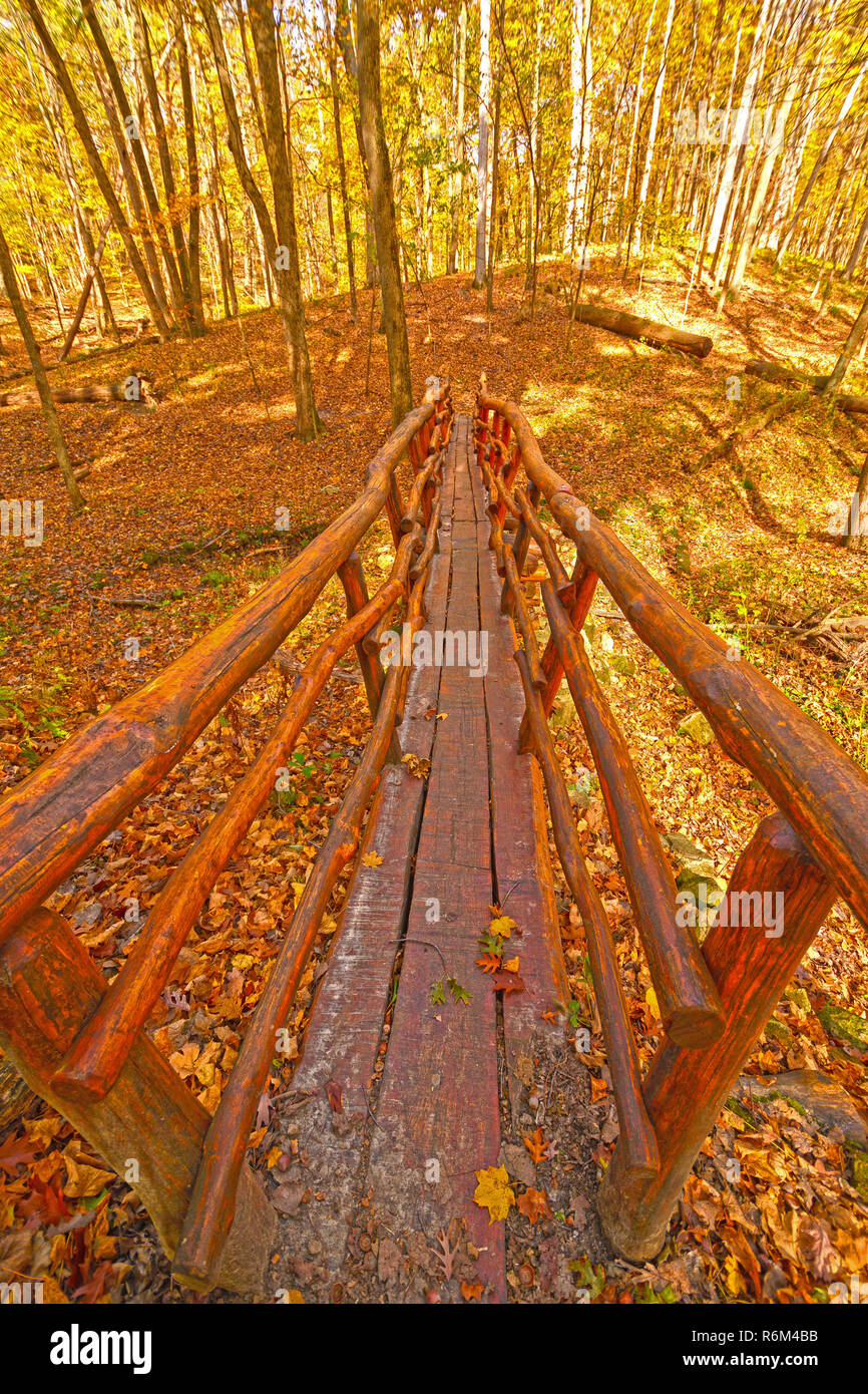 Hand Crafted Foot Bridge in the Fall Forest Stock Photo - Alamy