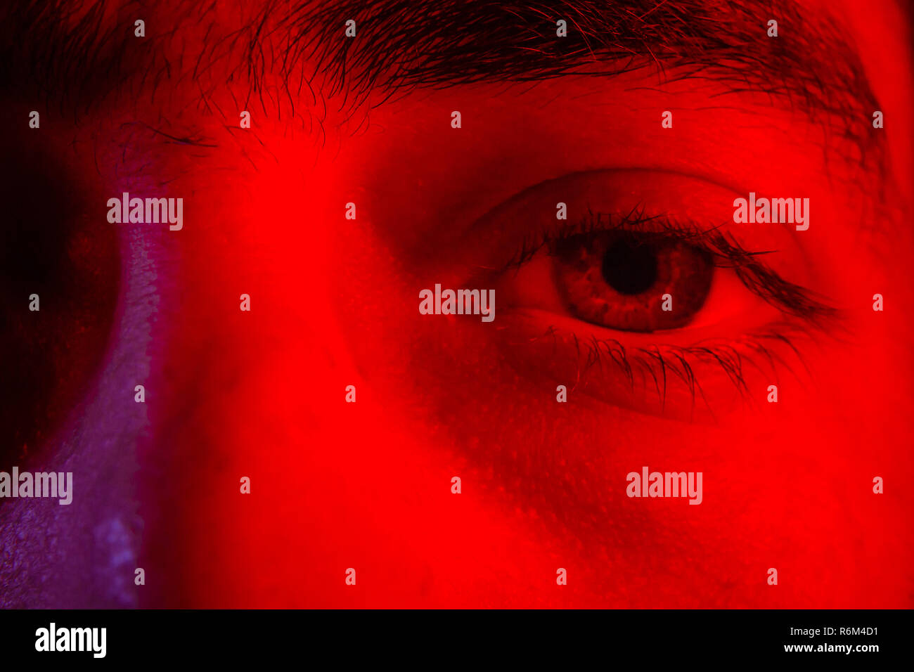 Macro on man eye expressing serious and expressionless expression Stock ...