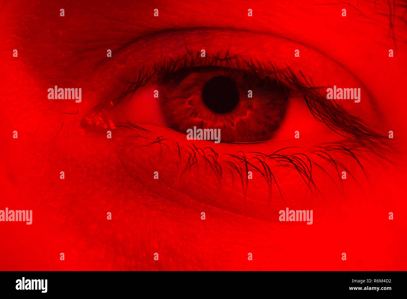 Macro on man eye expressing serious and expressionless expression Stock ...