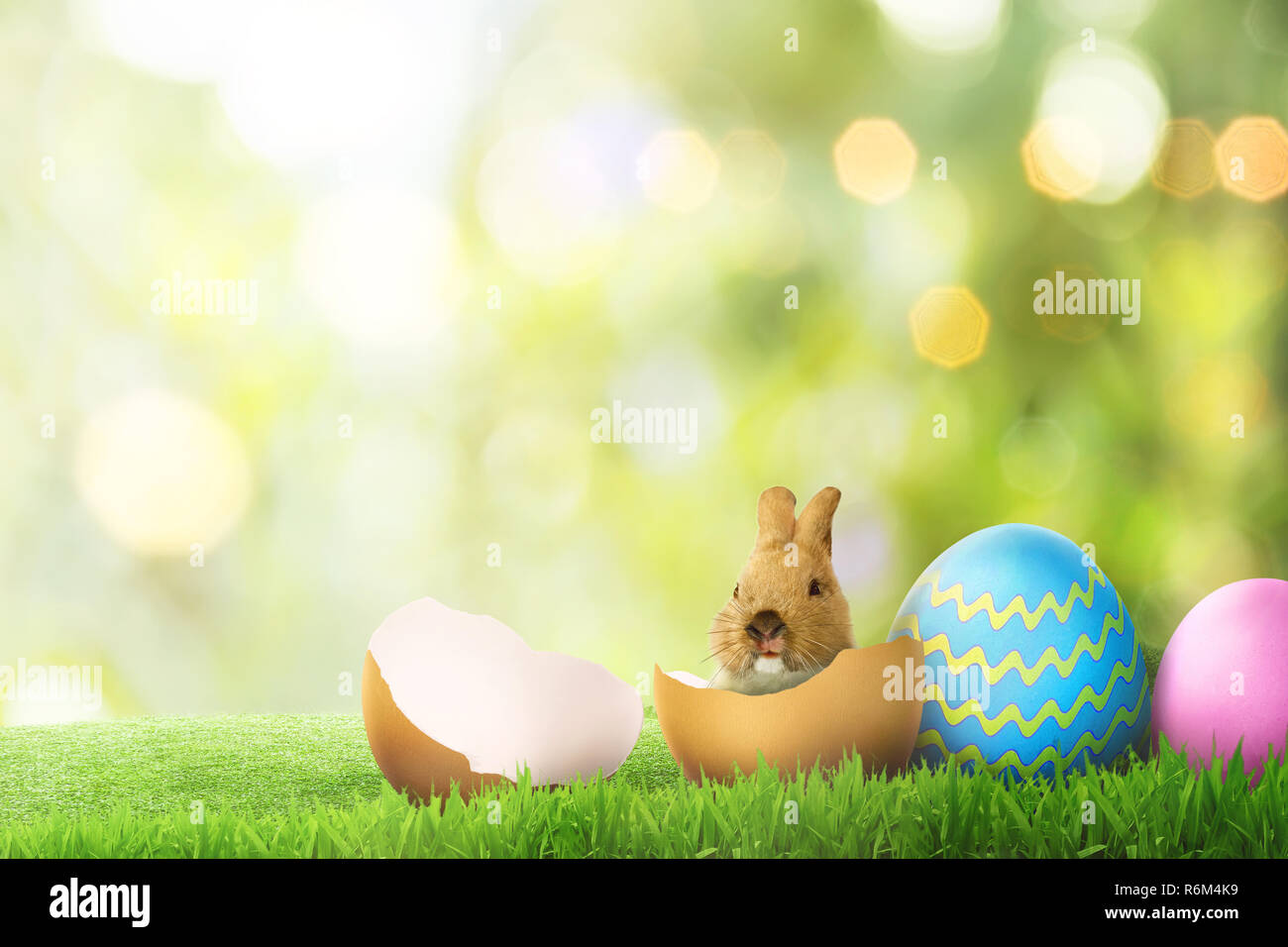 Easter bunny on cracked eggs Stock Photo - Alamy