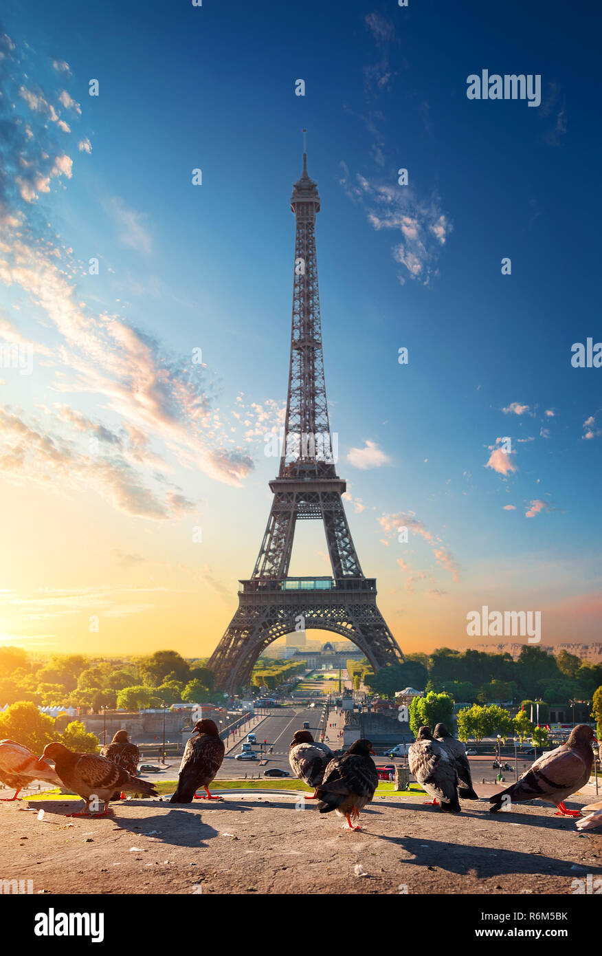 Eiffel Tower and doves Stock Photo - Alamy