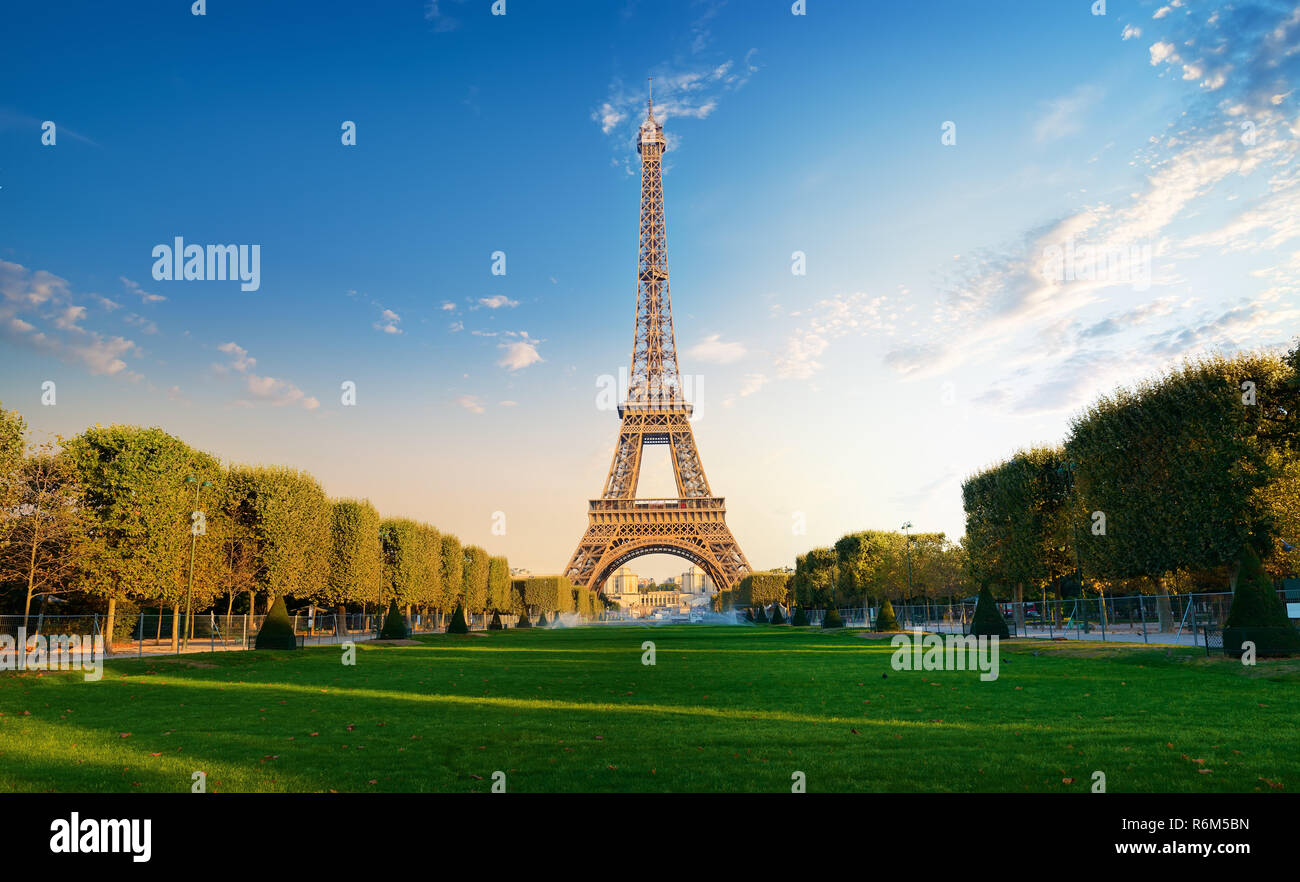 Eiffel Tower in the morning Stock Photo - Alamy