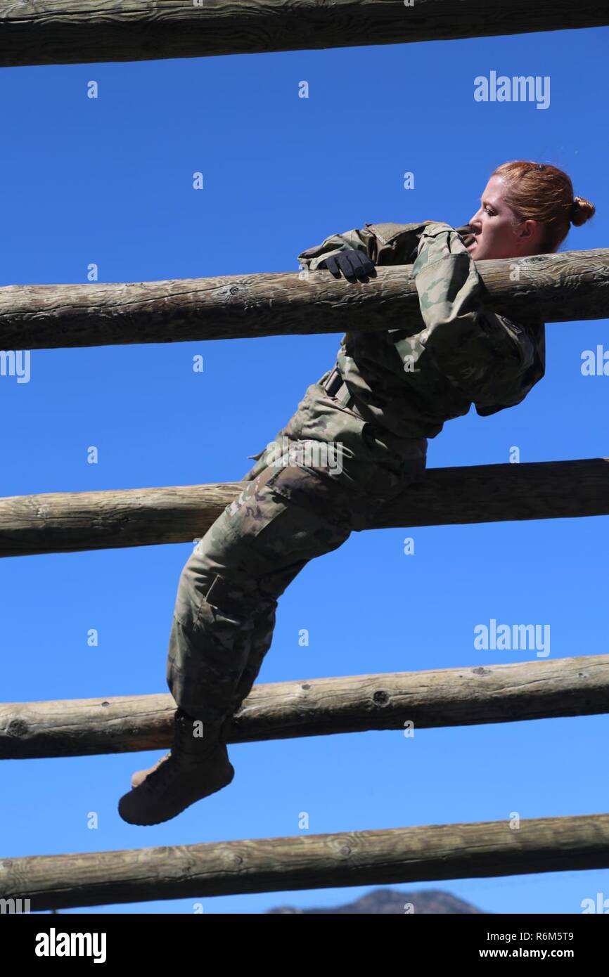 U.S. Army Sgt. Allison Sardler, assigned to 5th Signal Command (Theater ...