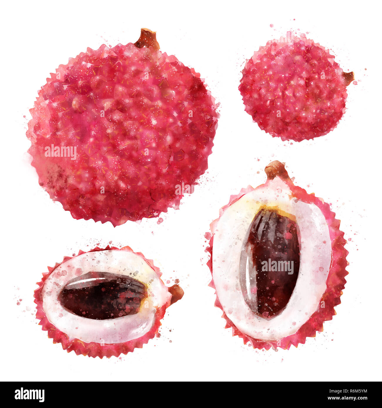 Lichi on white background. Watercolor illustration Stock Photo - Alamy