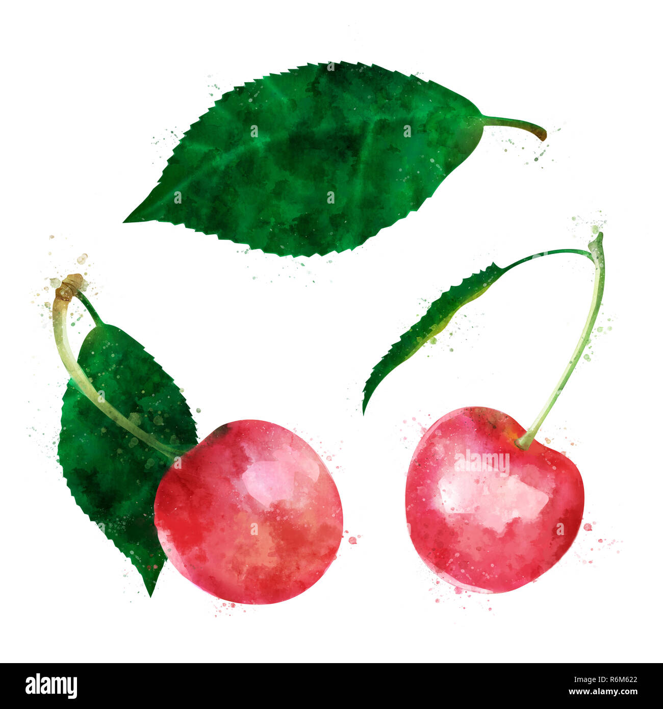 Cherry on white background. Watercolor illustration Stock Photo - Alamy