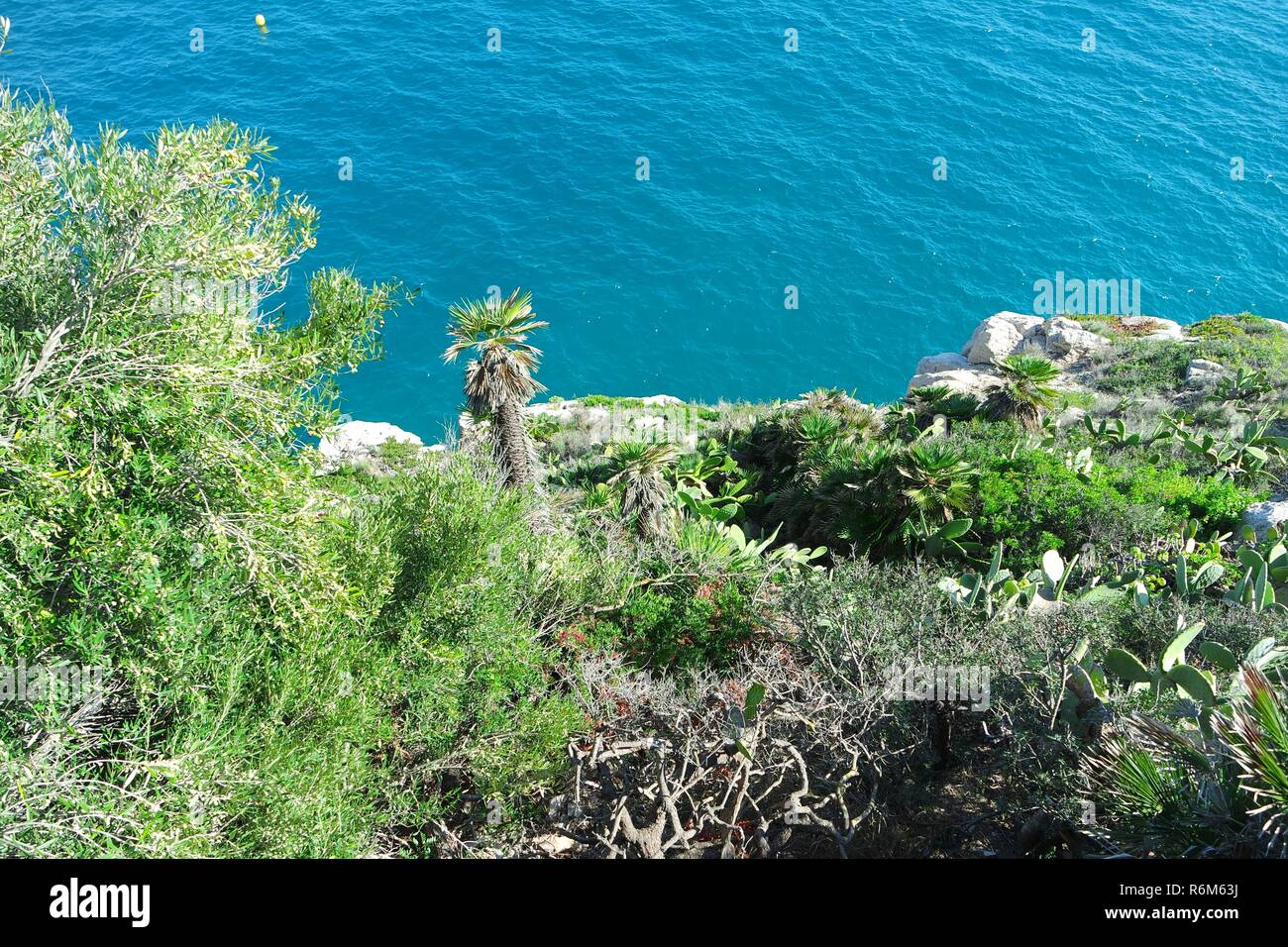 cap de salou landscape,costa daurada Stock Photo - Alamy