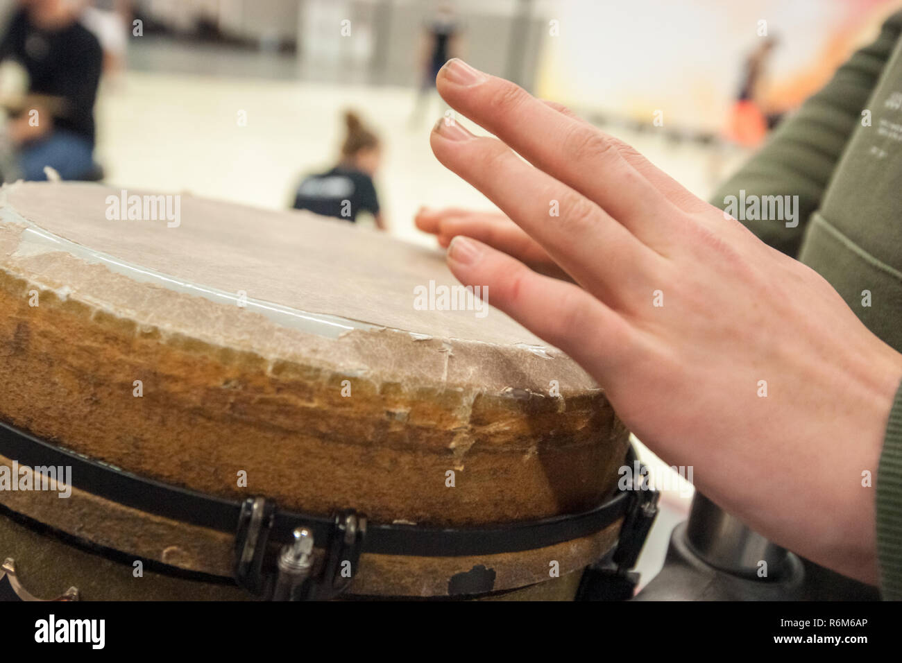 Closeup of musician hands playing the djembe drum during a performance ...