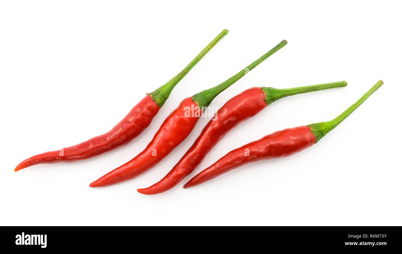 Hot chili pepper or small chili padi, line up, isolated on white ...